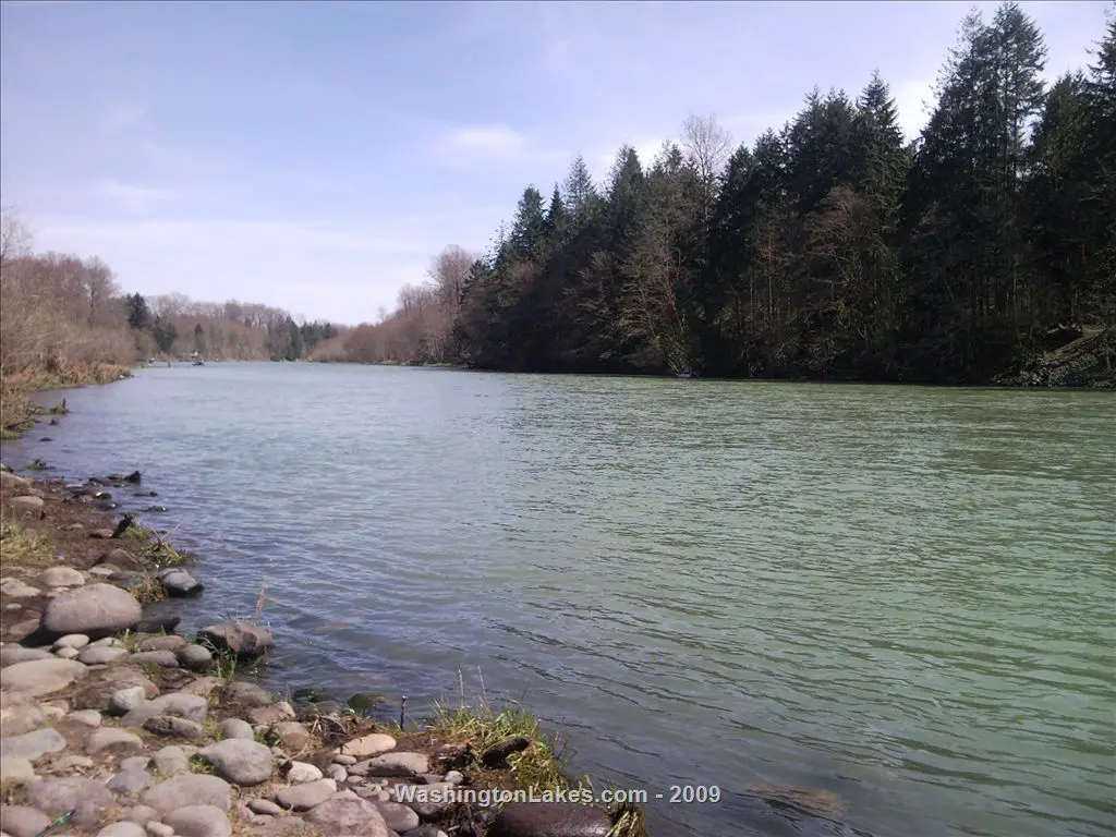 Cowlitz River Report, Cowlitz County, WA - NWFR