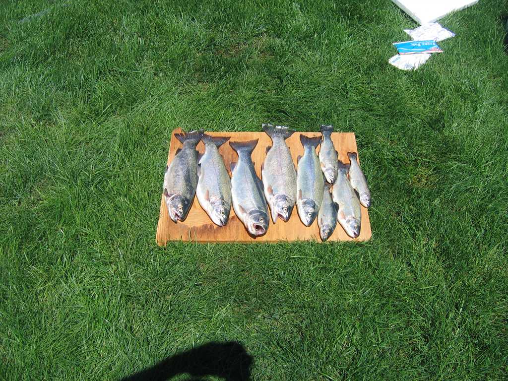 Goodwin Lake Report, Snohomish County, WA - NWFR
